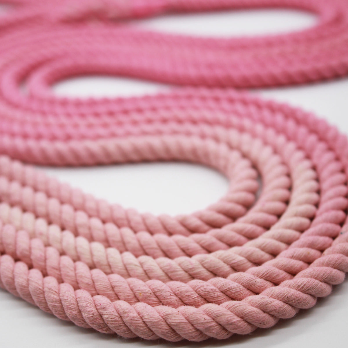 Pink Lemonade - Rope Lead – Sunnyside Co